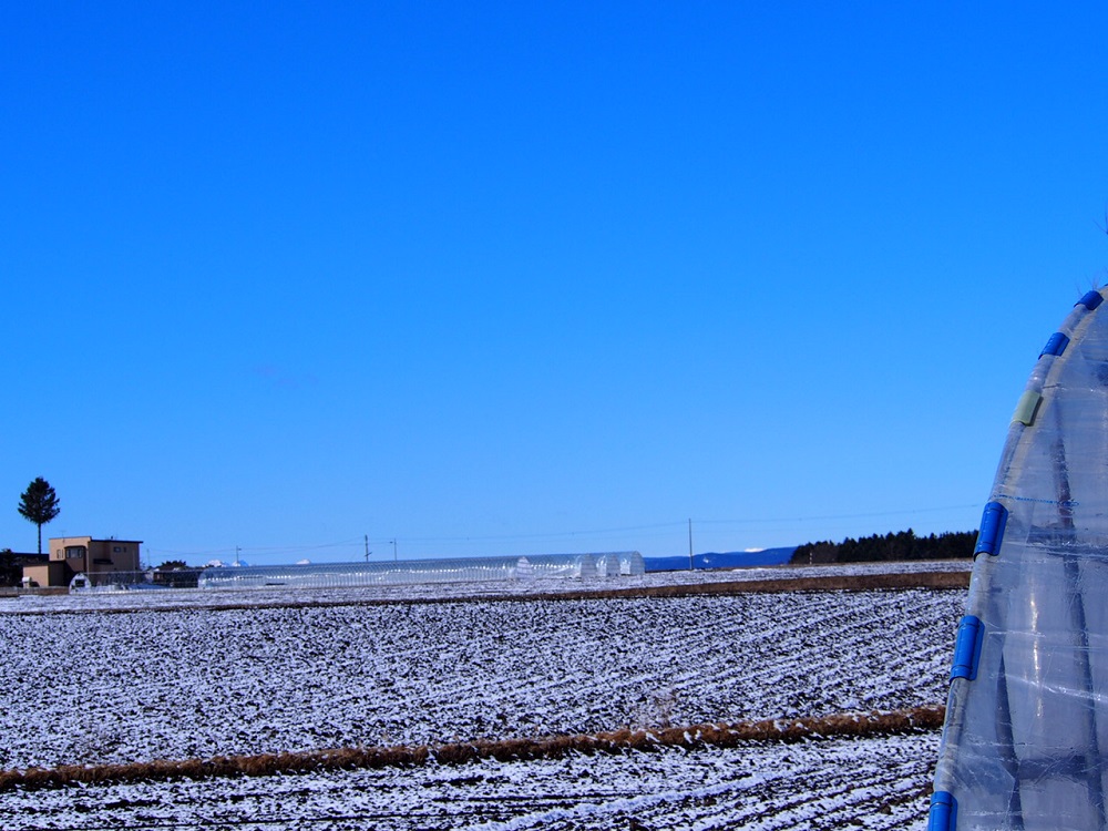 まだ冬？ | けしき | 自然農園「ぽっけの里」